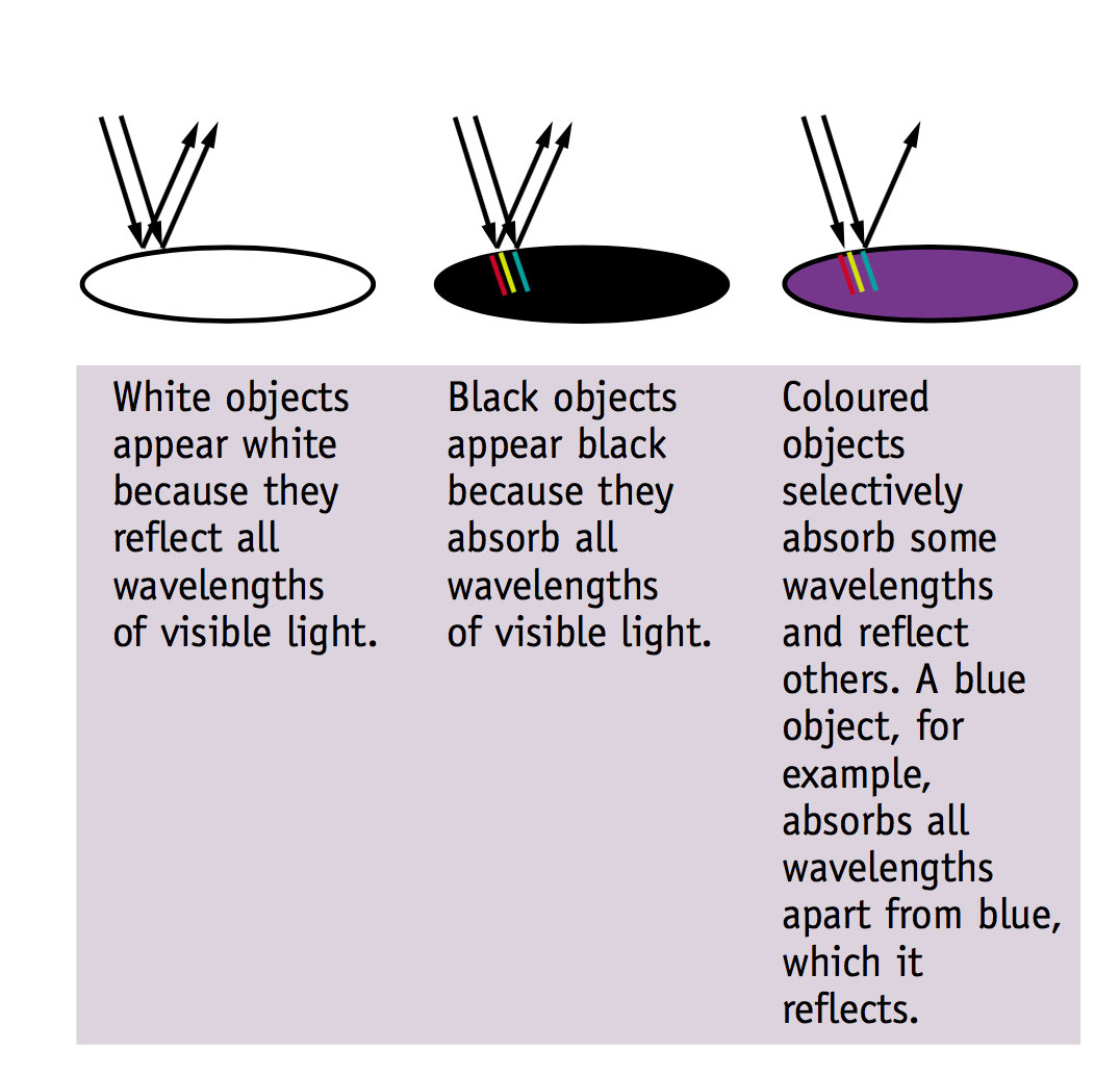 Common Deterioration Processes | reCollections